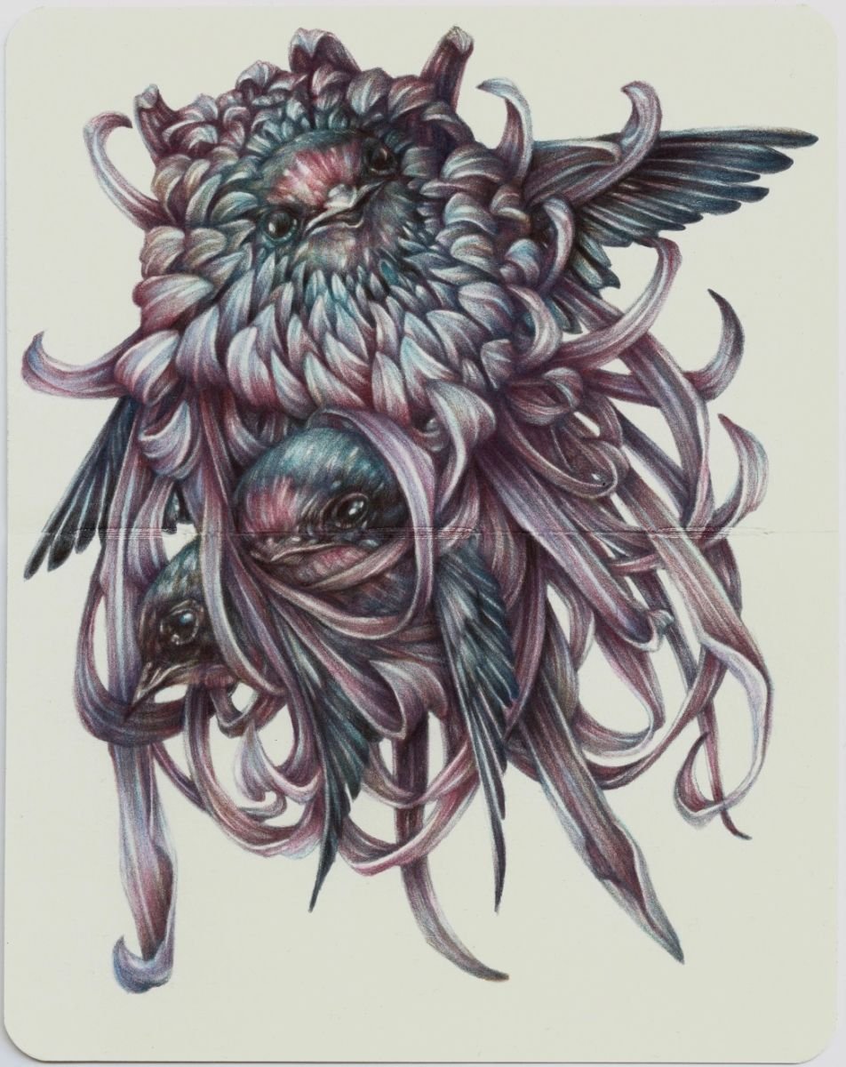 Marco Mazzoni, Rich Drawings Full of Dark Wonder - Views Heard