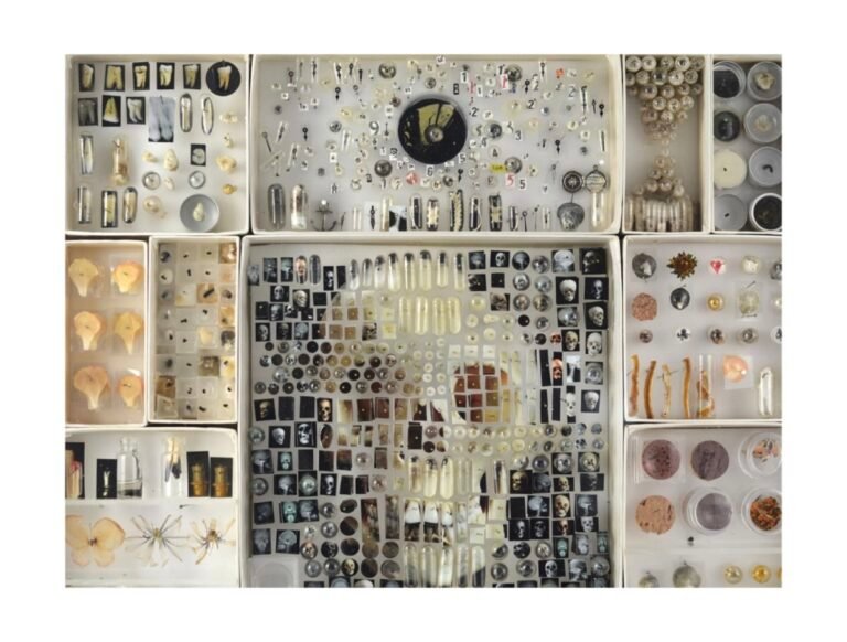 Michael Mapes' Dissected Portraits, Just Who Are We? - Views Heard